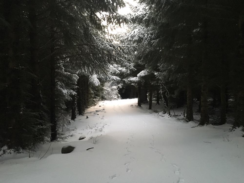 The String of destiny